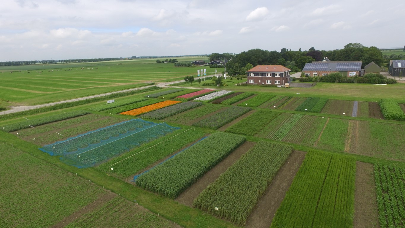 Delphy Onderzoekslocaties Akkerbouw - Delphy