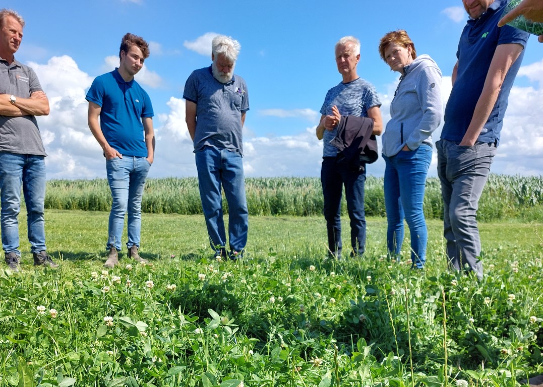Pilot Circular Agriculture Northern Netherlands - Delphy