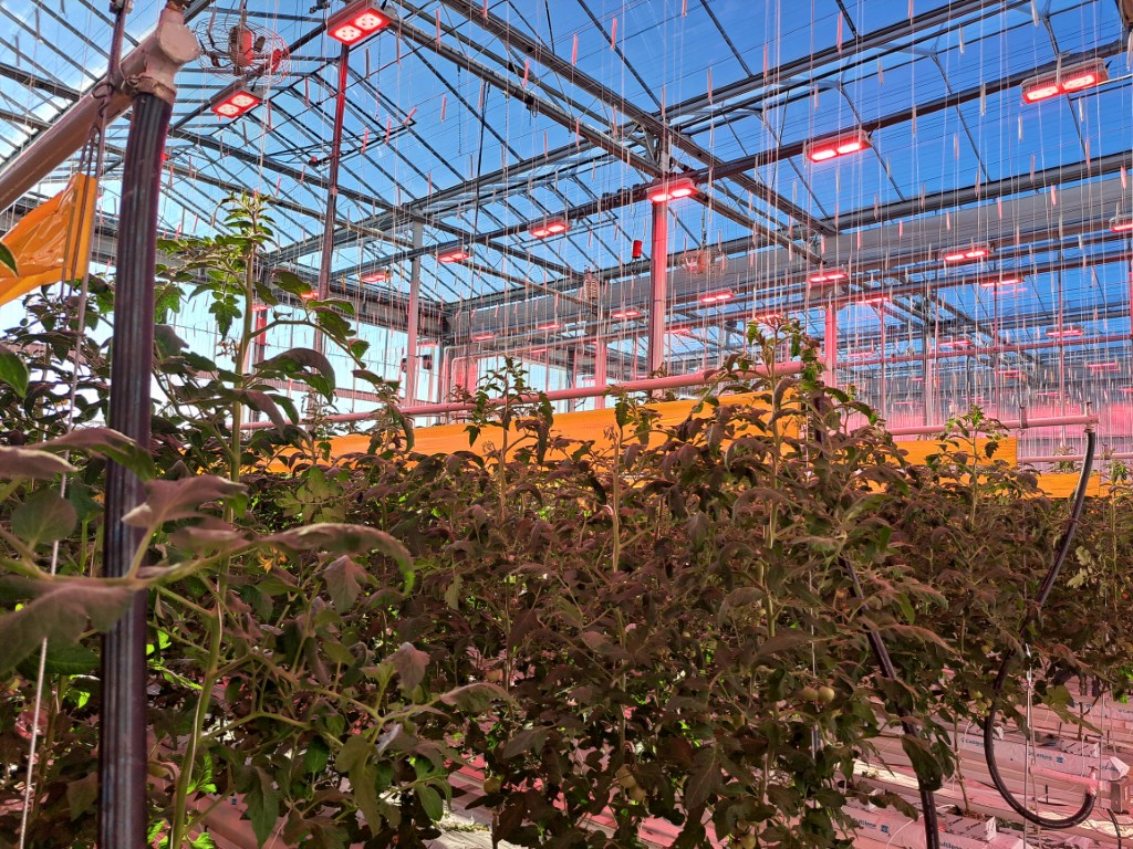 Masterplan Licht - Delphy