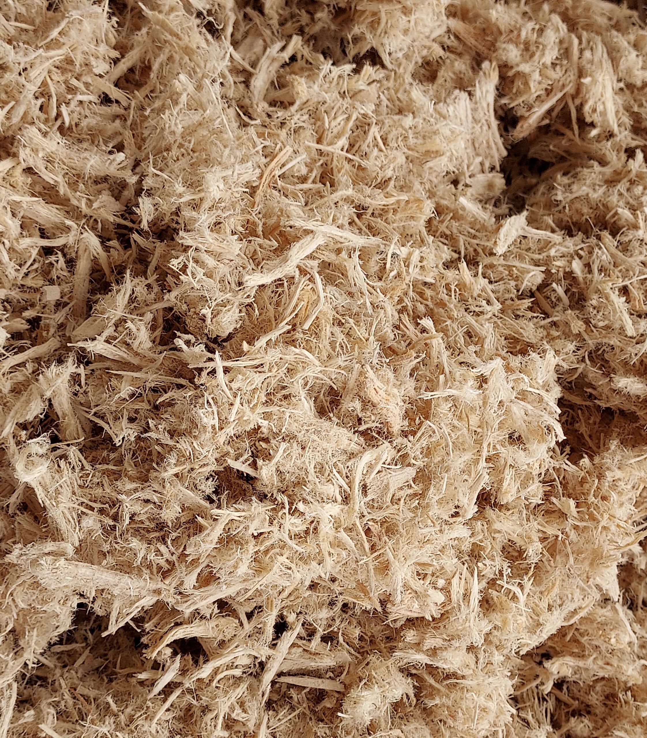 Hort2thefuture - Delphy