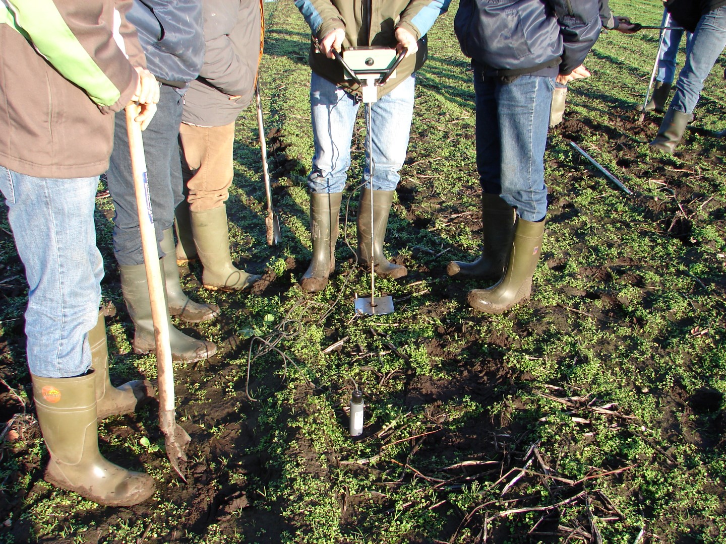 Consultancy Soil - Open Crops - Delphy