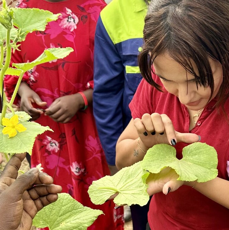 Pests and Diseases Management (Arabic) - Delphy