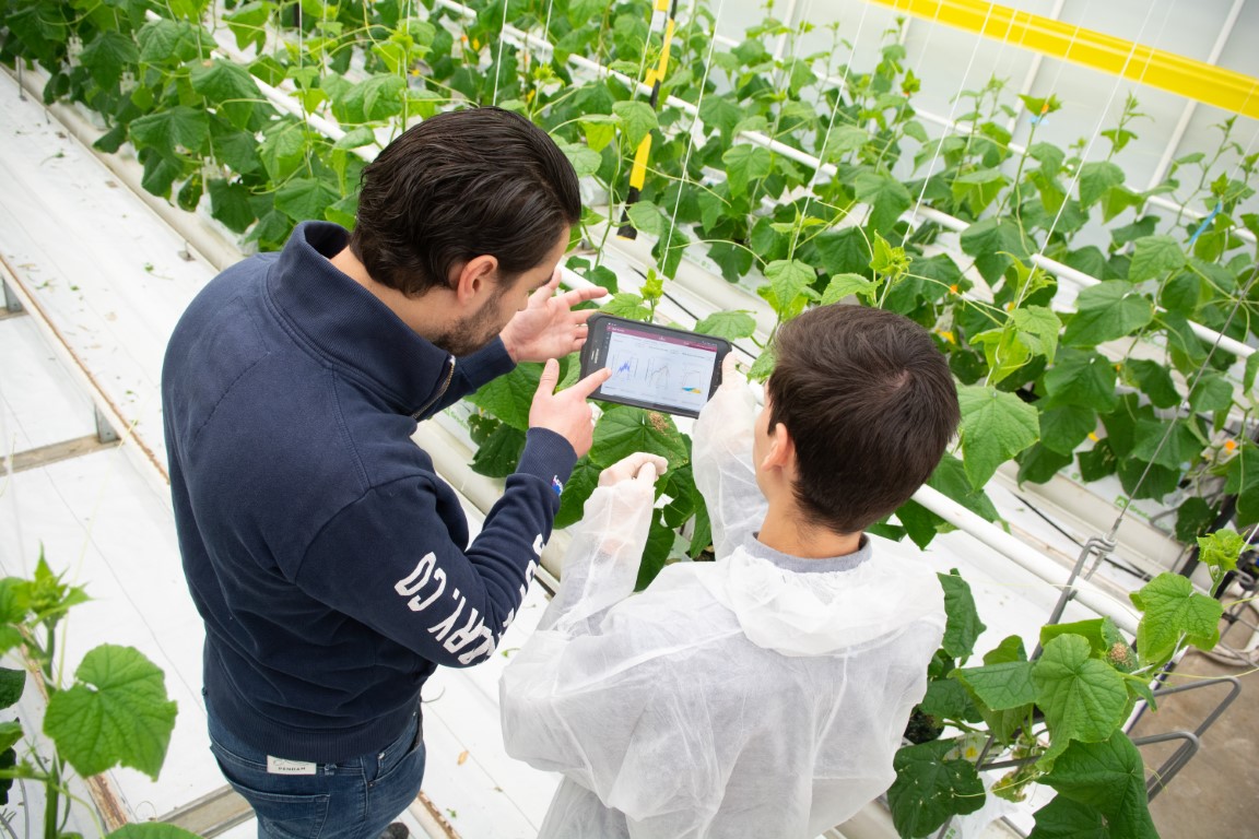 Consultancy - Delphy