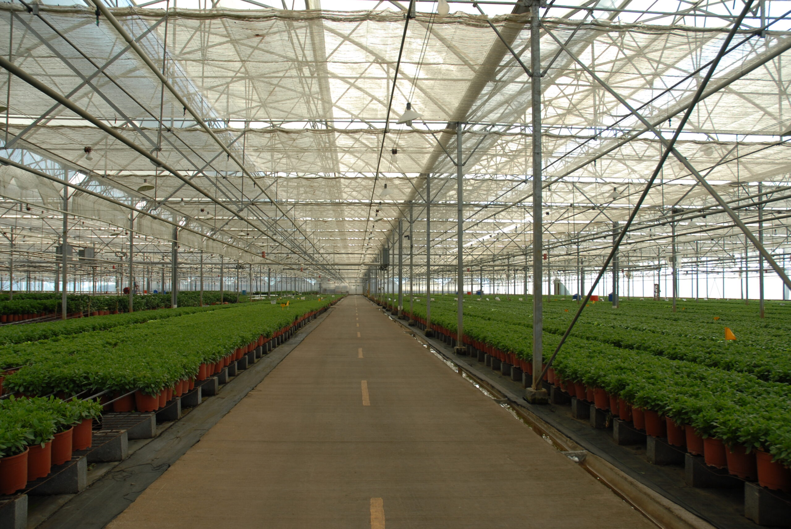 Master Greenhouse Operations in Arid Climates - Delphy