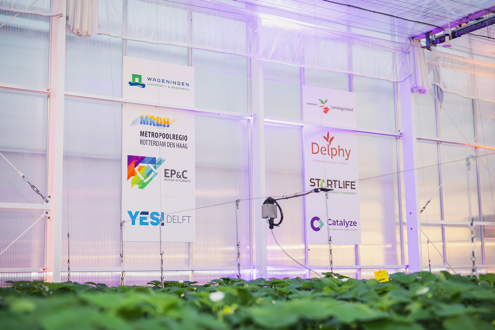 HIC launches the first venture studio for greenhouse horticulture - Delphy