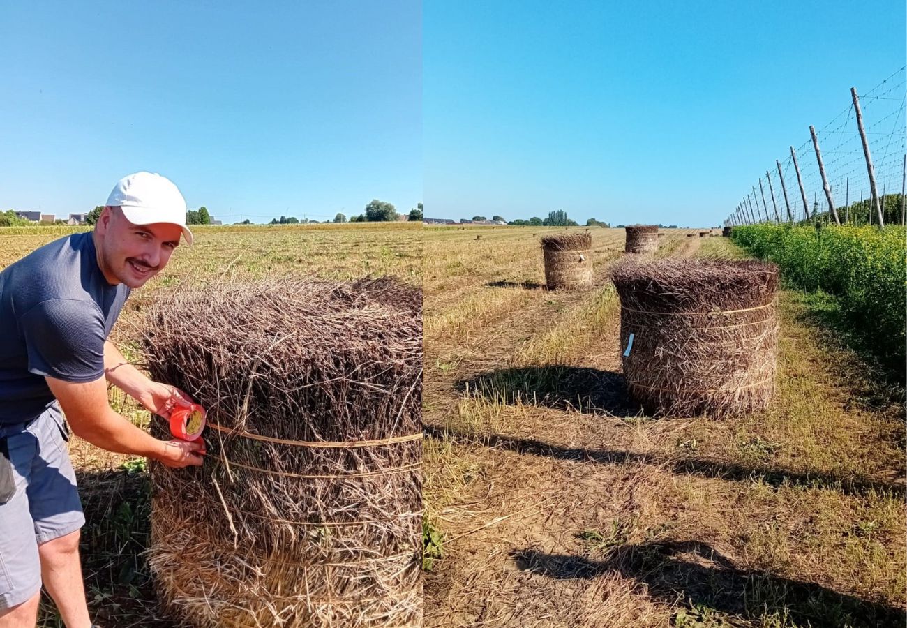 Vervolg ‘langvezelige’ hennepproeven in 4 landen dankzij Interreg ...