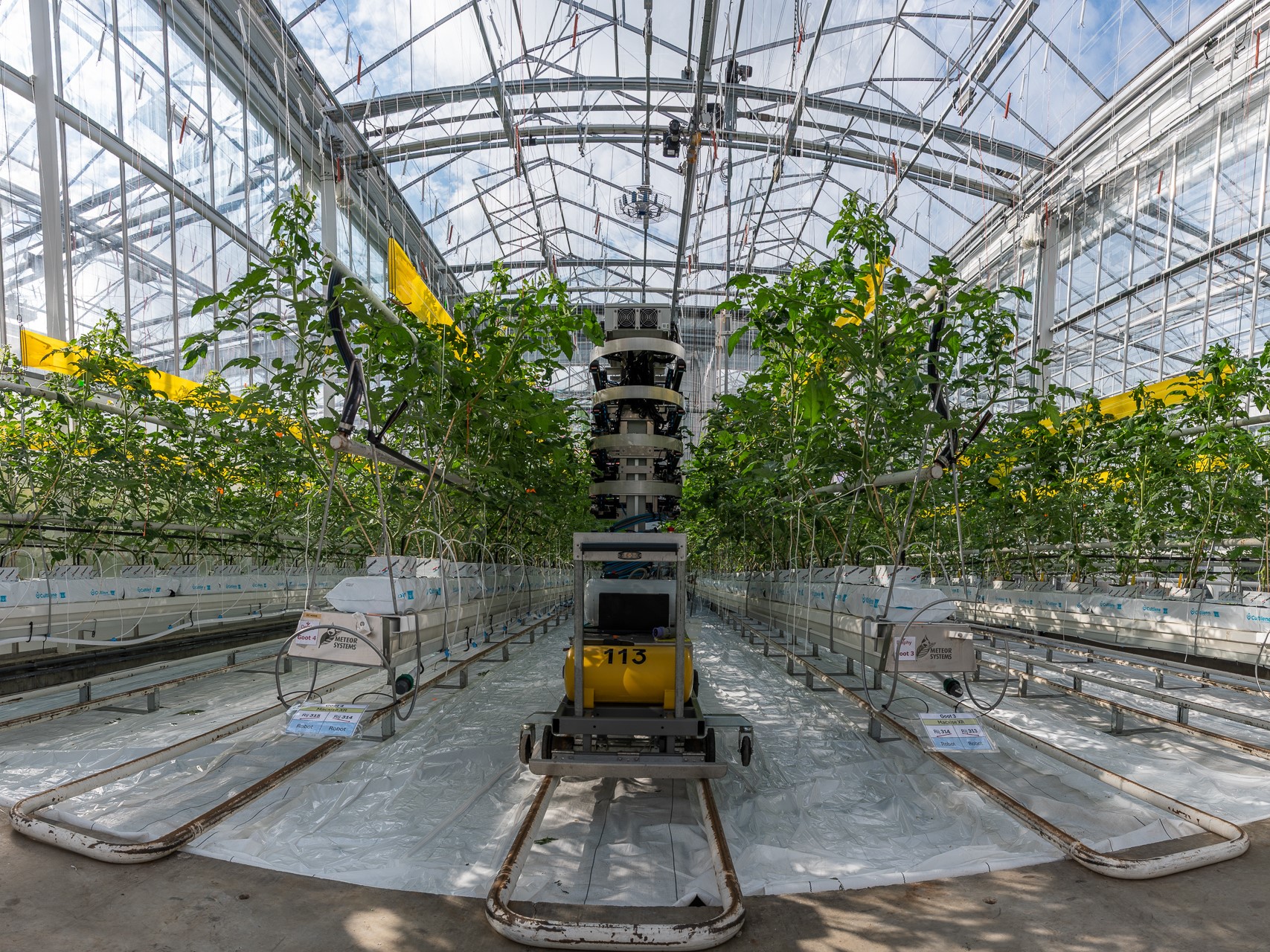 Mechanical pollination and maximum screening - Delphy