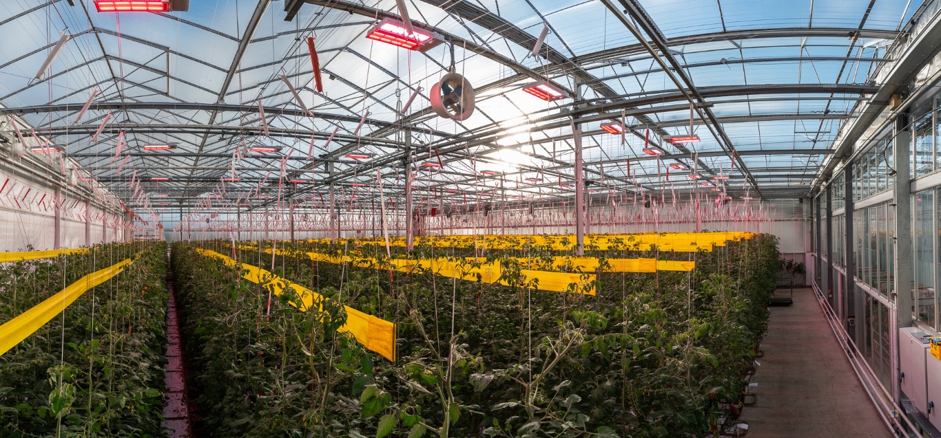 Remote Precision Growing (RPG) - Delphy