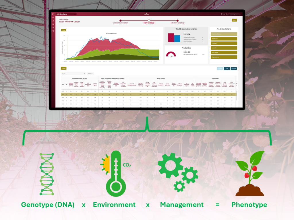 QMS Strawberry for more control over the strawberry cultivation with data - Delphy