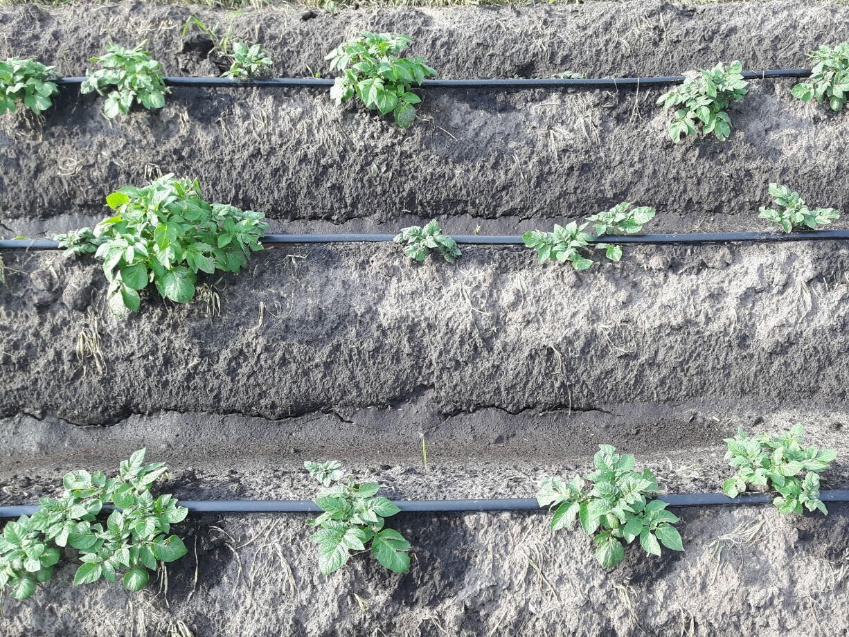 Slim omgaan met water - Delphy