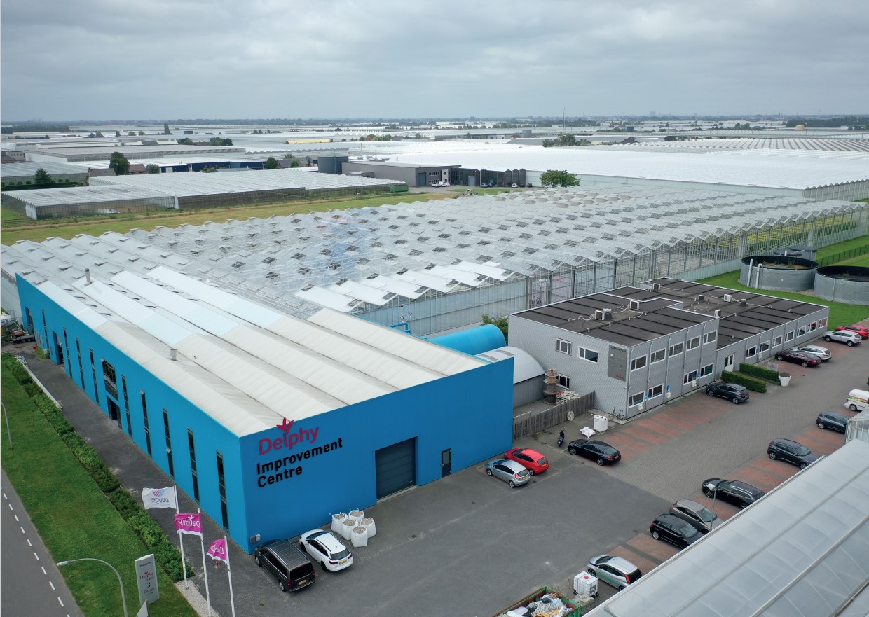 Delphy Improvement Centre - Delphy